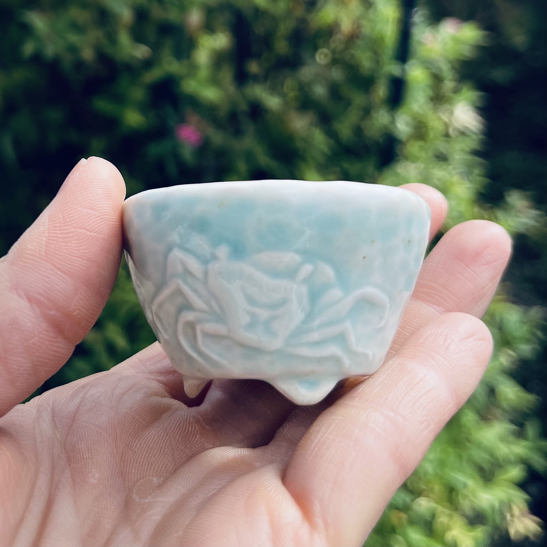 Asami Ohno | Mame Bonsai Pots